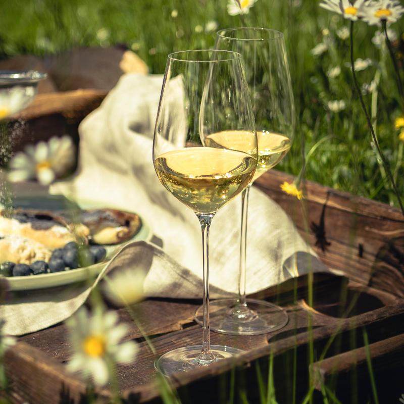 Eisch Essenca SensisPlus Glass Collection