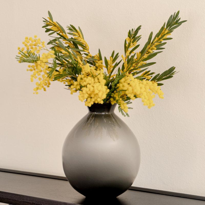 Elegant Rosenthal Glass Vases Collection