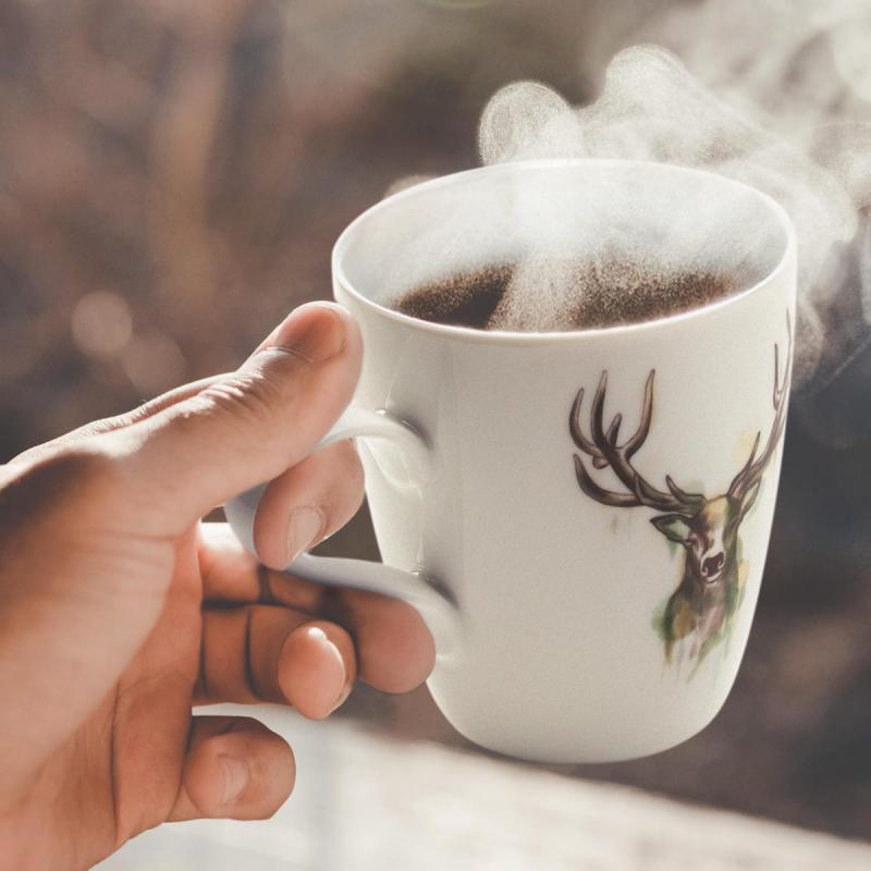 Seltmann Weiden Life Nature online kaufen